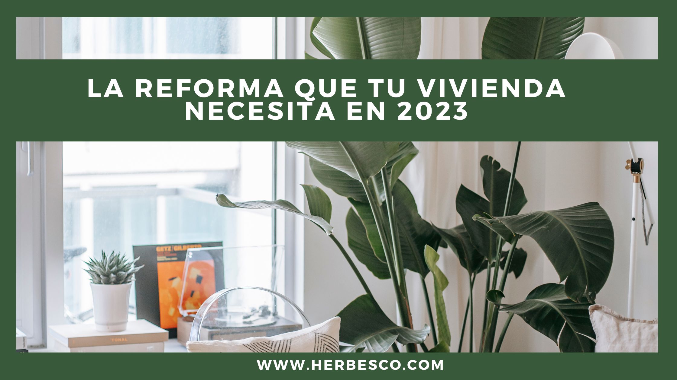 LA REFORMA QUE TU VIVIENDA NECESITA EN 2023 - Herbesco