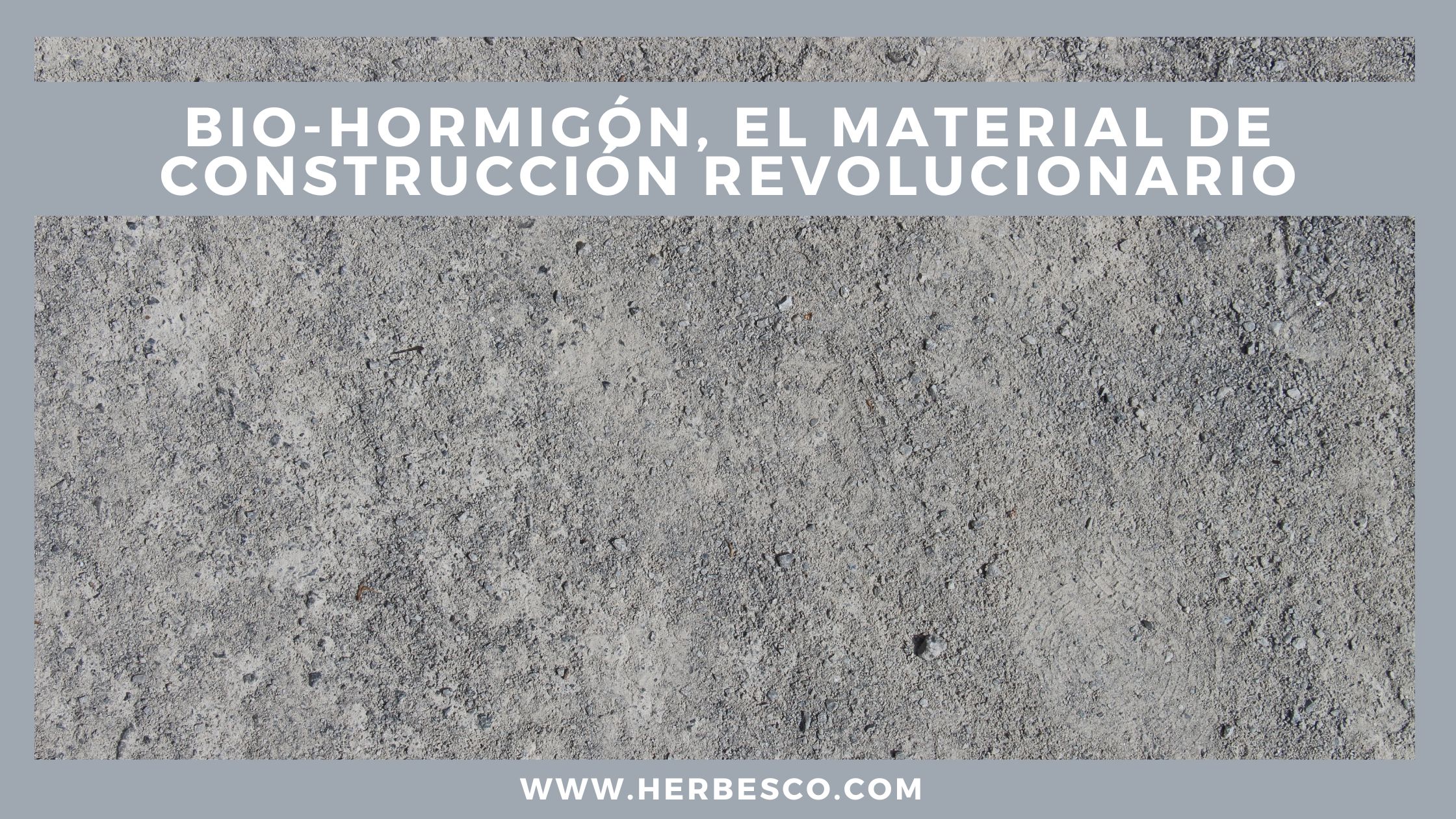 Bio-hormigón, el material de construcción revolucionario - Herbesco