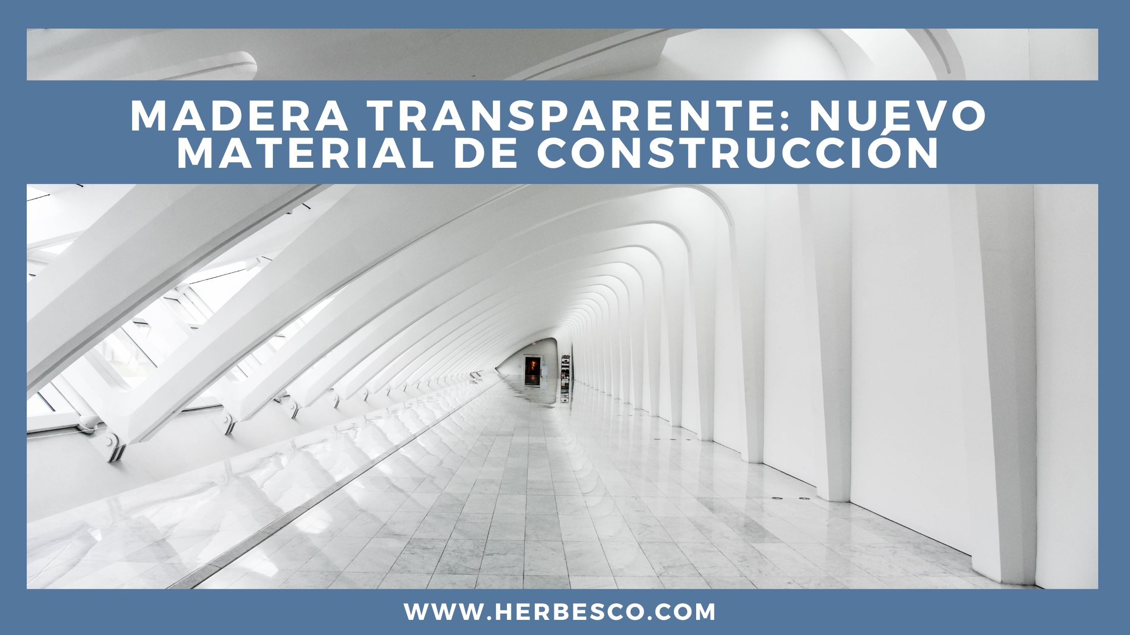 Madera transparente: nuevo material de construcción - Herbesco