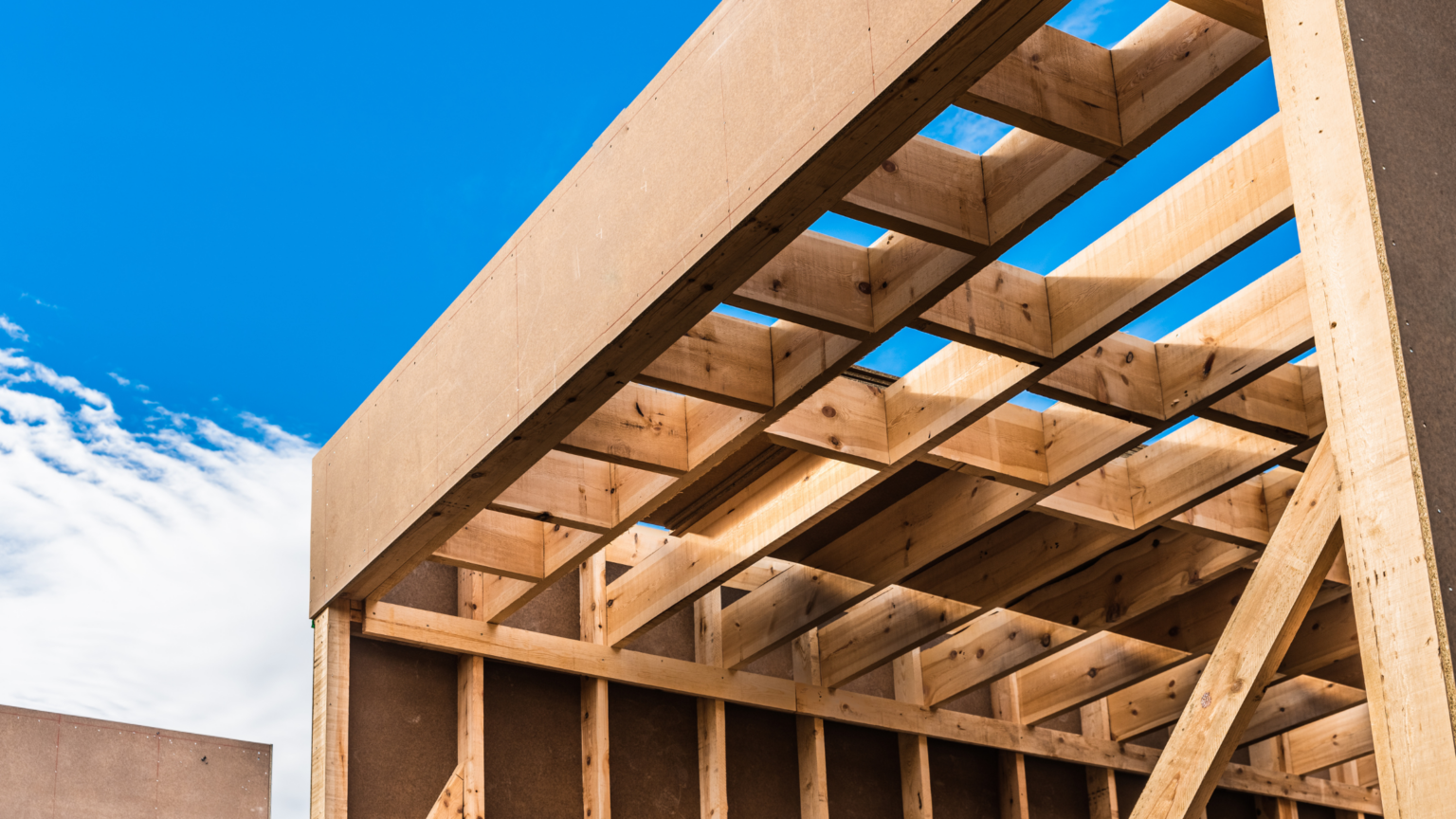 Materiales de micelio: Hongos como material de construcción - Herbesco